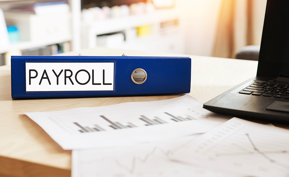 Online Payroll Practice and Management with Microsoft Excel from Tacoma ...